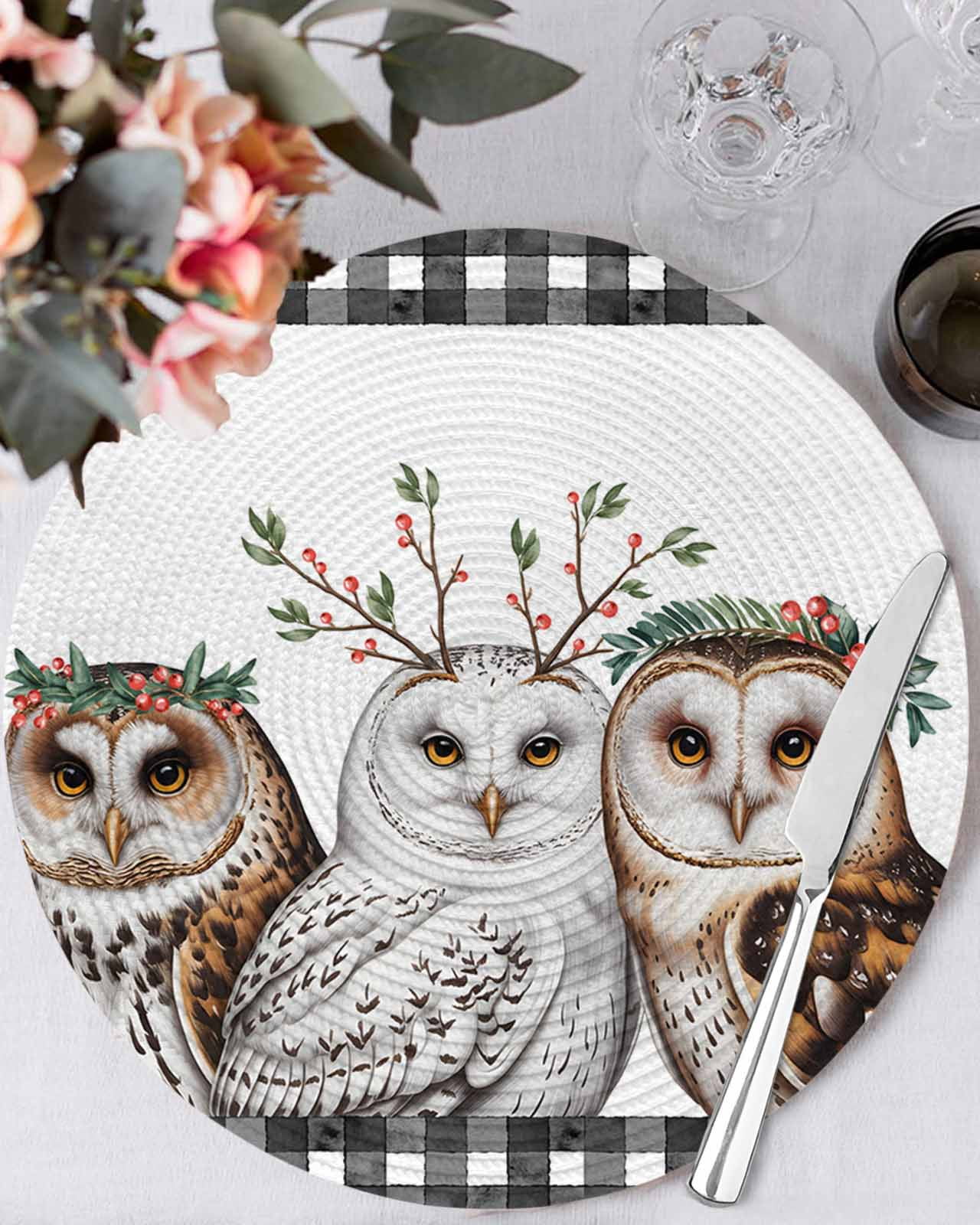 15 Inch Round Placemats Set of 6, Cute Owls Non Slip Heat Insulation PP ...