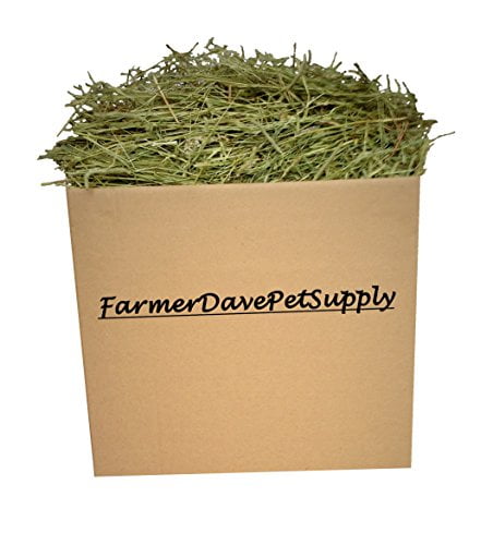 15 Lb First Cut Timothy Hay, Rabbit and Bunny Hay - Walmart.com