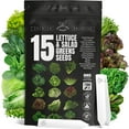 15 Lettuce & Salad Greens Seeds MVR1 Variety Pack Lettuce Garden Salad ...