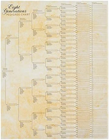 15 Pack Family Tree Charts to Fill In - Blank 8 Generation Genealogy ...