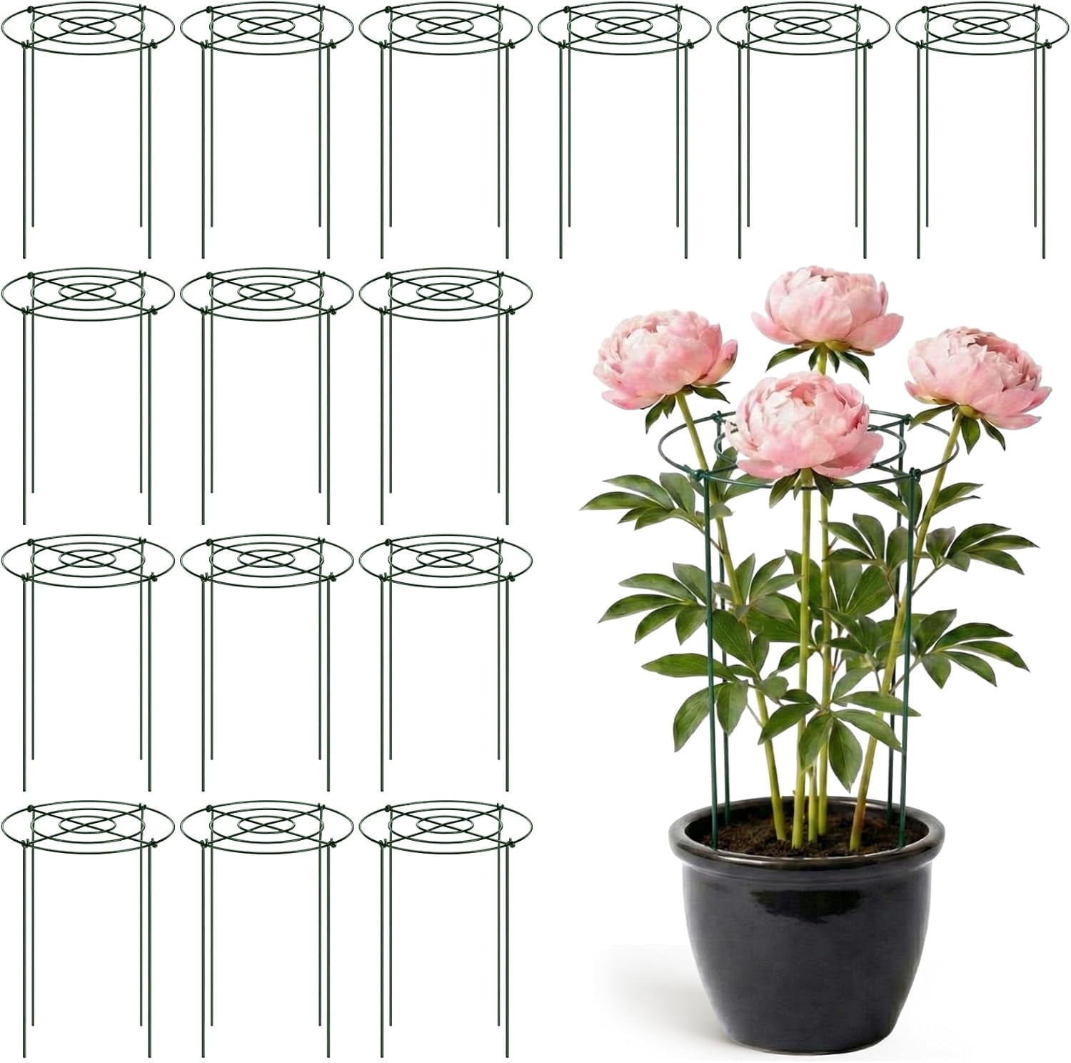 15 Pack Peony Cages and Supports 12'' Dx 24'' H Grow Through Metal ...