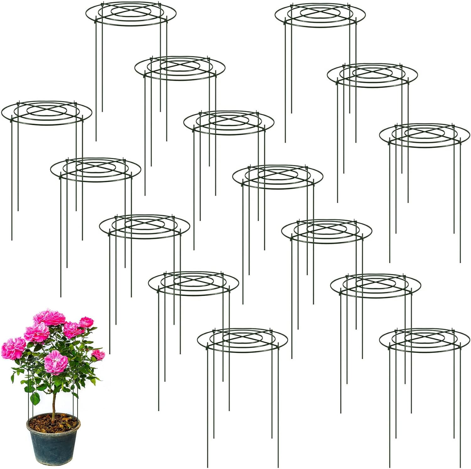15 Pack Peony Cages and Supports 12 x 16 Inch Grow Through Metal Plant ...