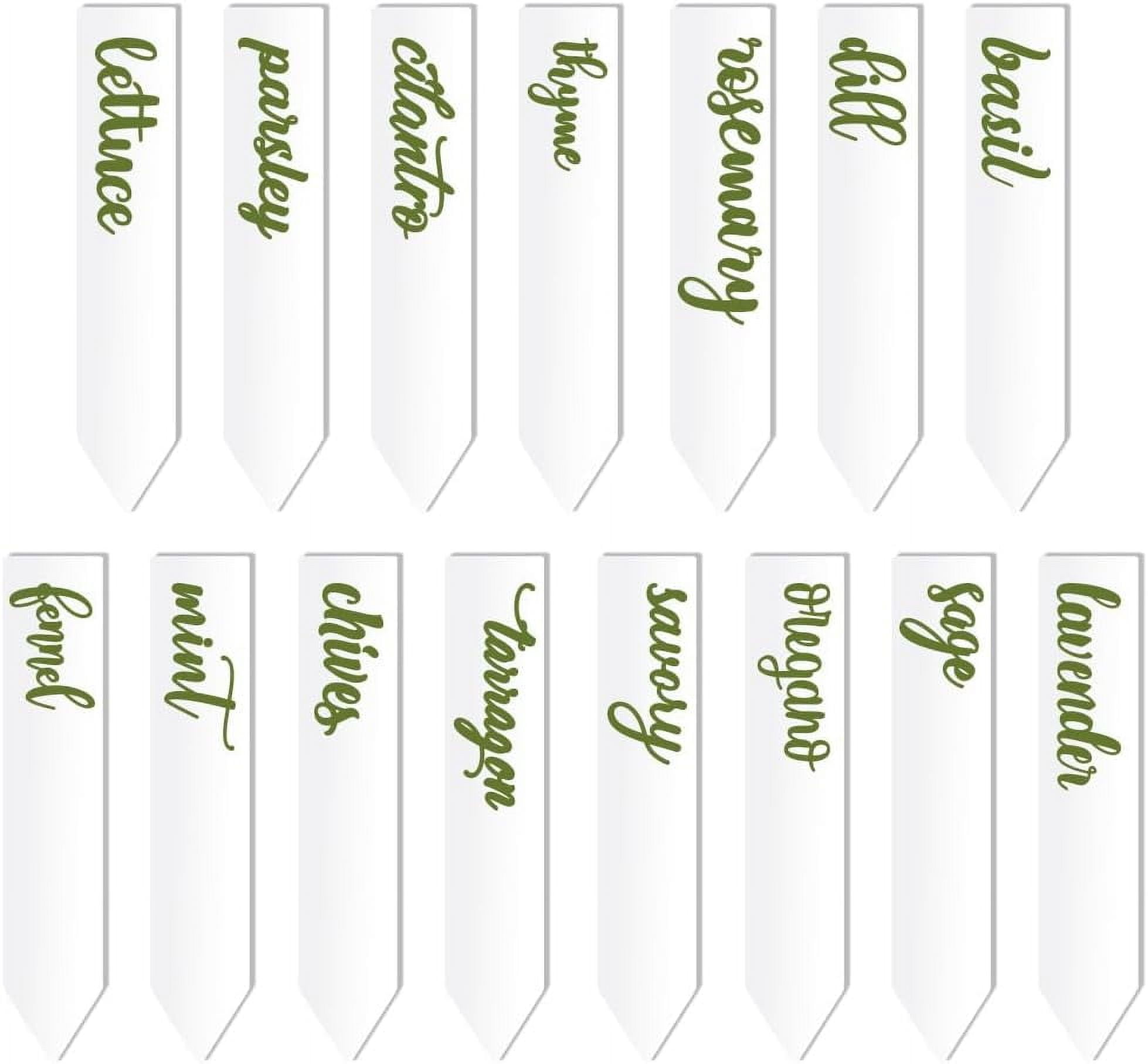 15 Pcs Acrylic Herb Plant Labels Cilantro Thyme Rosemary Dill Plant ...