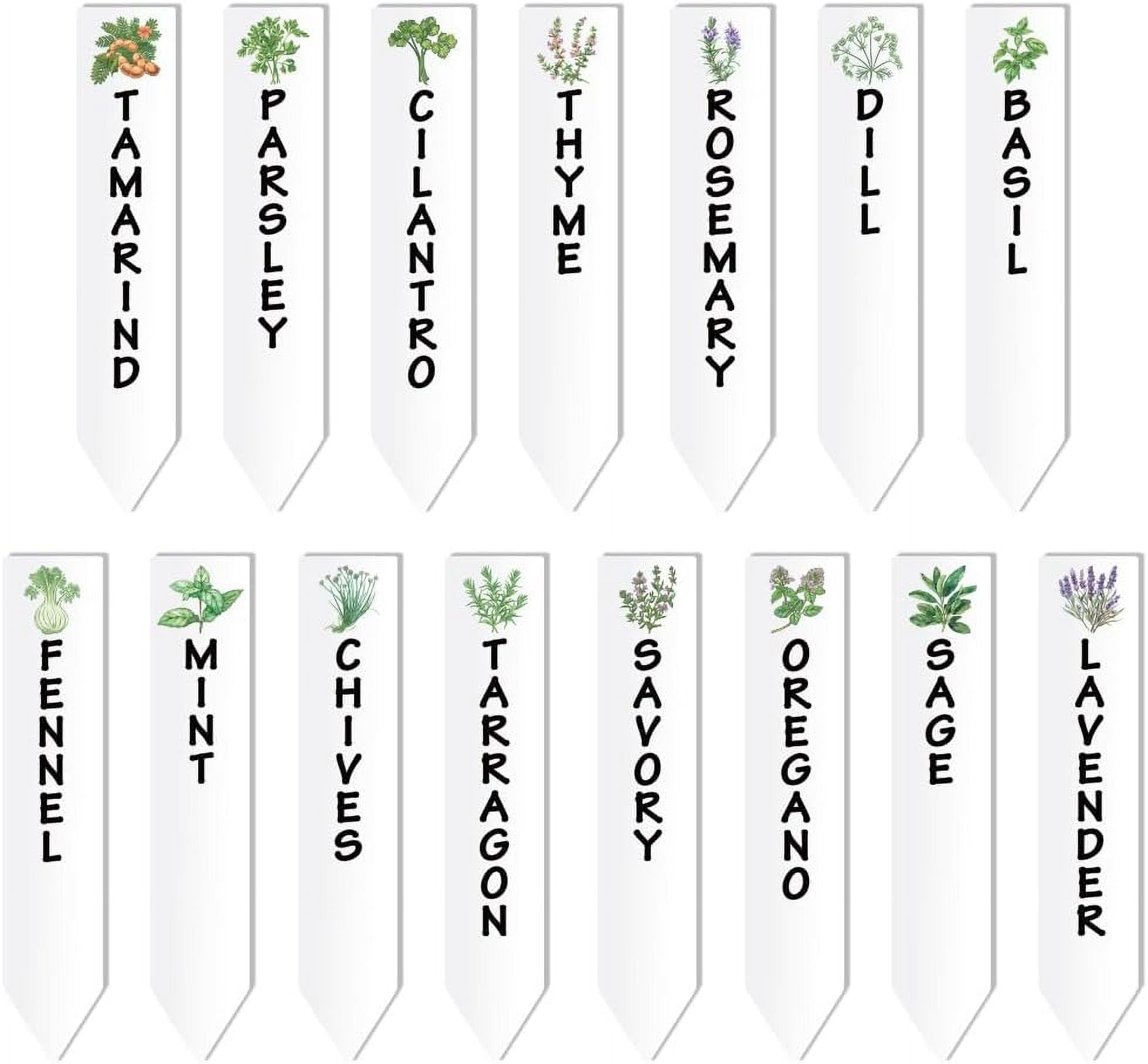 15 Pcs Acrylic Herb Plant Labels Dill Basil Fennel Mint Garden Markers ...