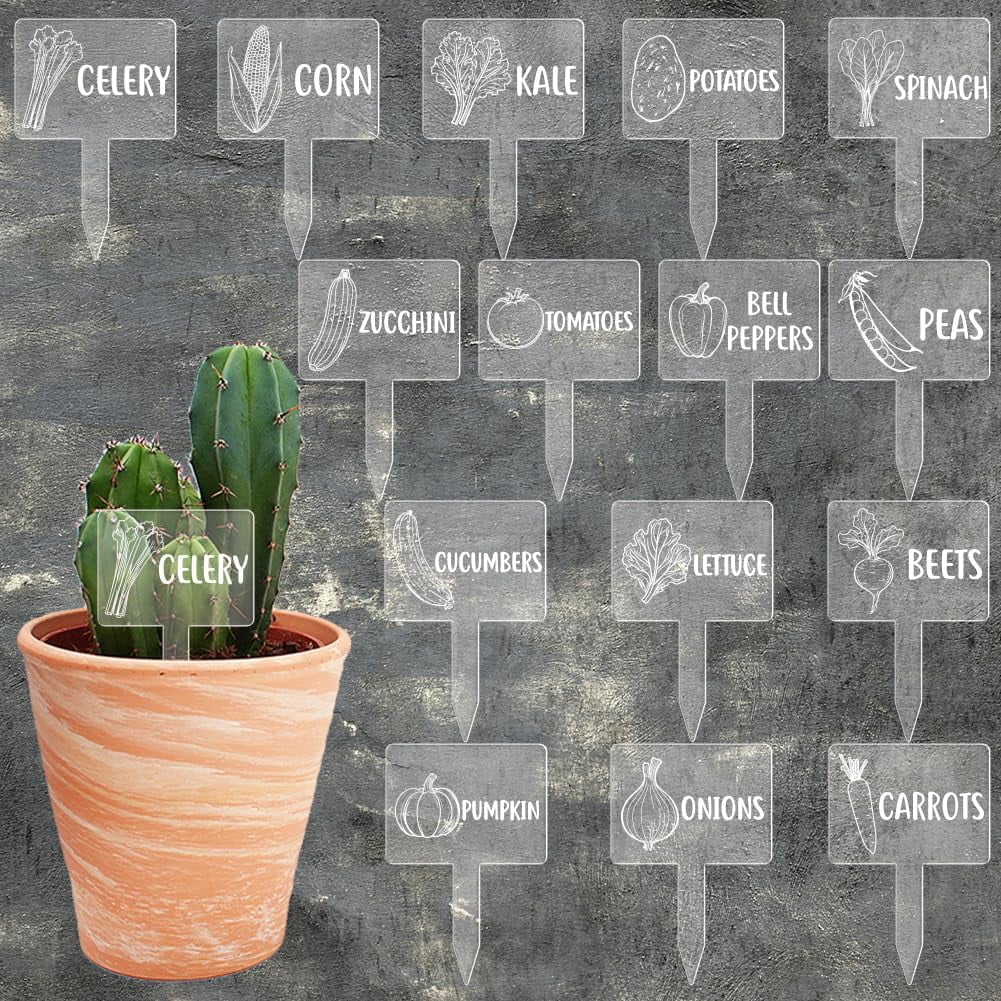 15 Pcs Clear Acrylic Plant Labels Vegetable Themed Plant Labels with ...