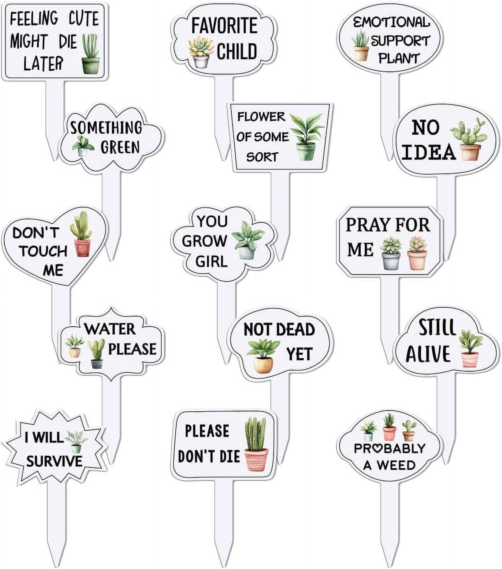 15 Pcs Funny Phrases Plant Labels 15 Styles Acrylic Succulent Cactus ...