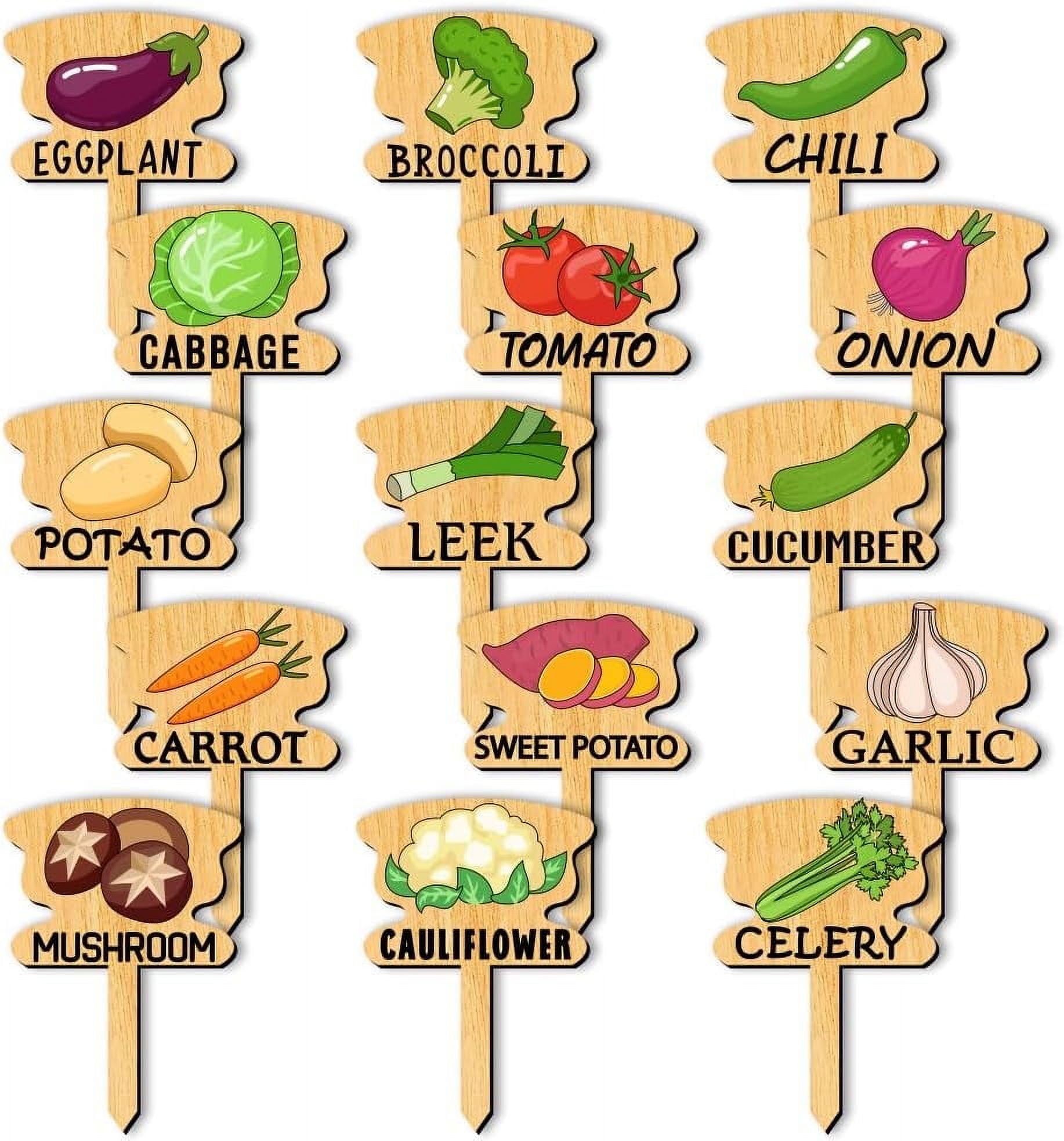 15 Pcs Funny Plant Markers T-Type Vegetable Name Tag with Pattern Wood ...