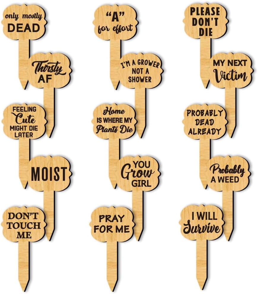 15 Pcs Funny Plant Markers Wooden Garden Stakes Funny Slogan Garden ...