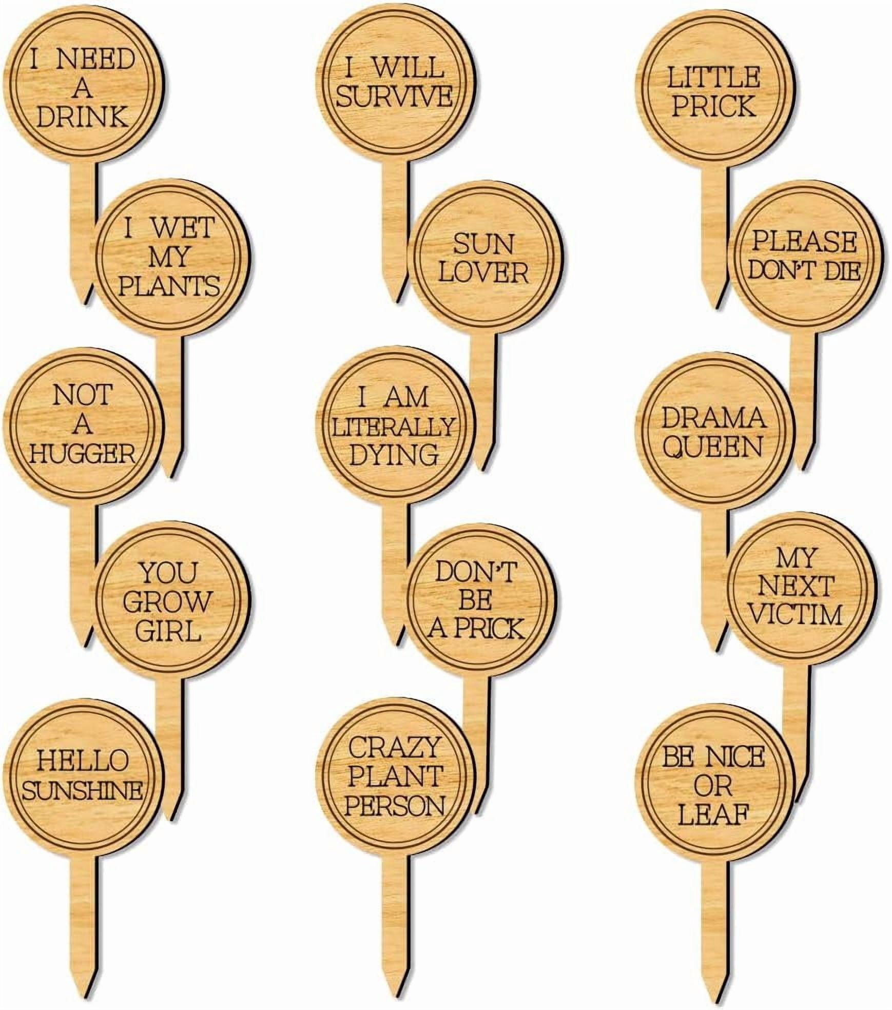 15 Pcs Funny Wood Plant Labels 15 Styles Garden Labels with Plant Puns ...
