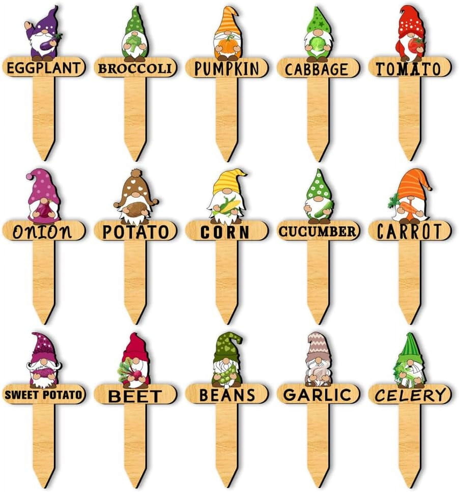15 Pcs Gnome Plant Markers 15 Styles Vegetables Name Plants Tags Funny ...