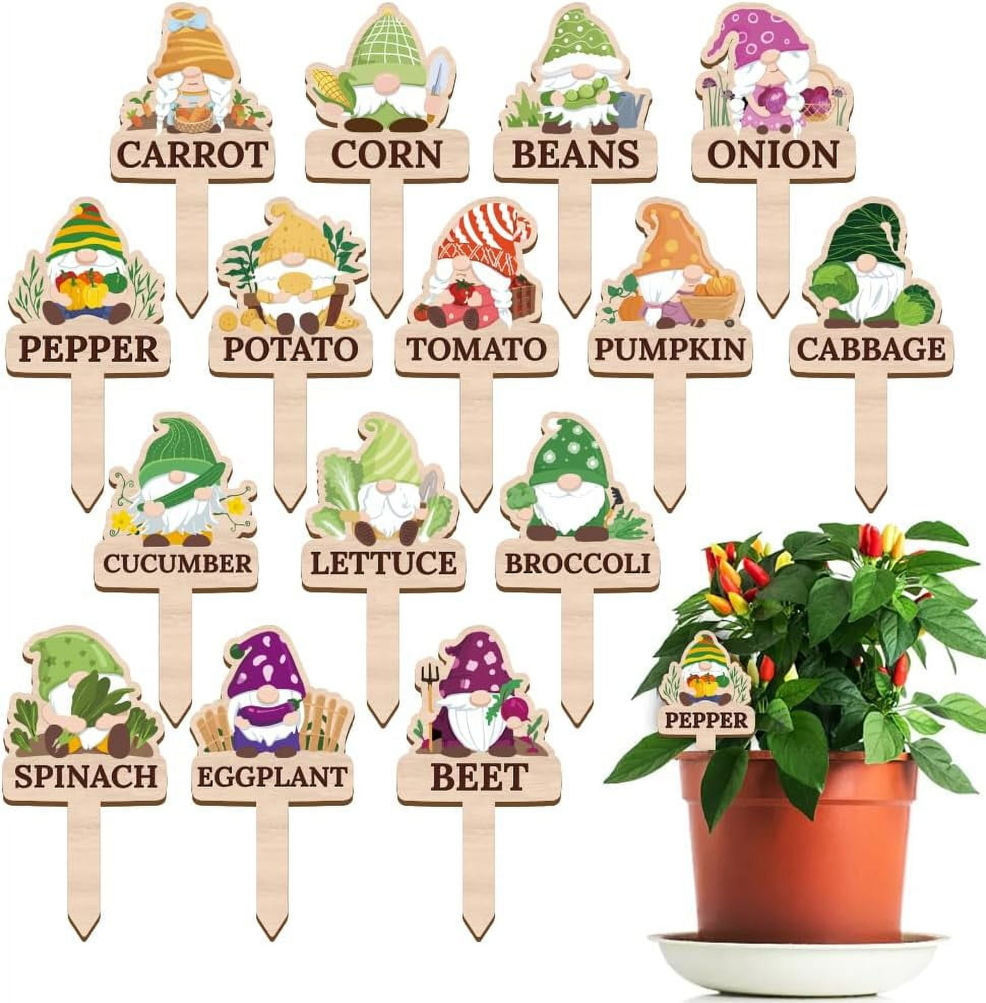 15 Pcs Gnome Wooden Plant Markers with Vegetable Name Tomato Corn ...