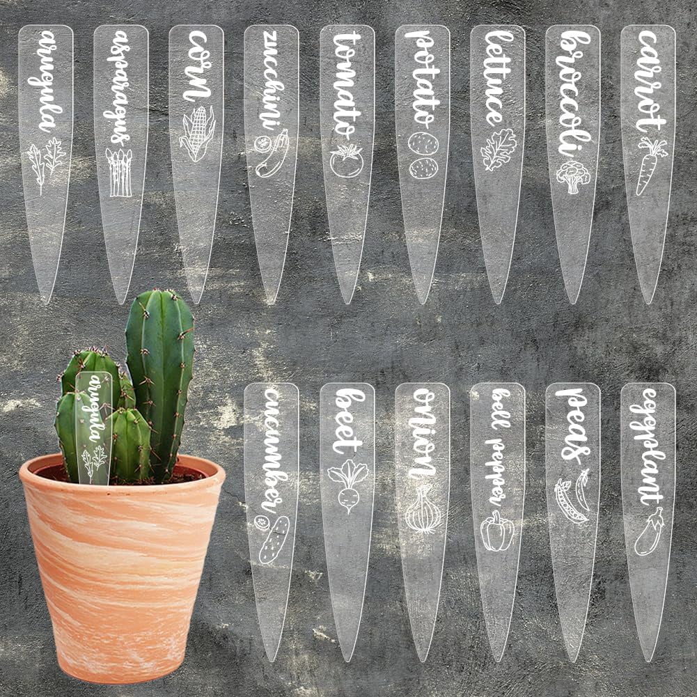 15 Pcs Inverted Triangle Acrylic Plant Labels Vegetable Name Patterns ...