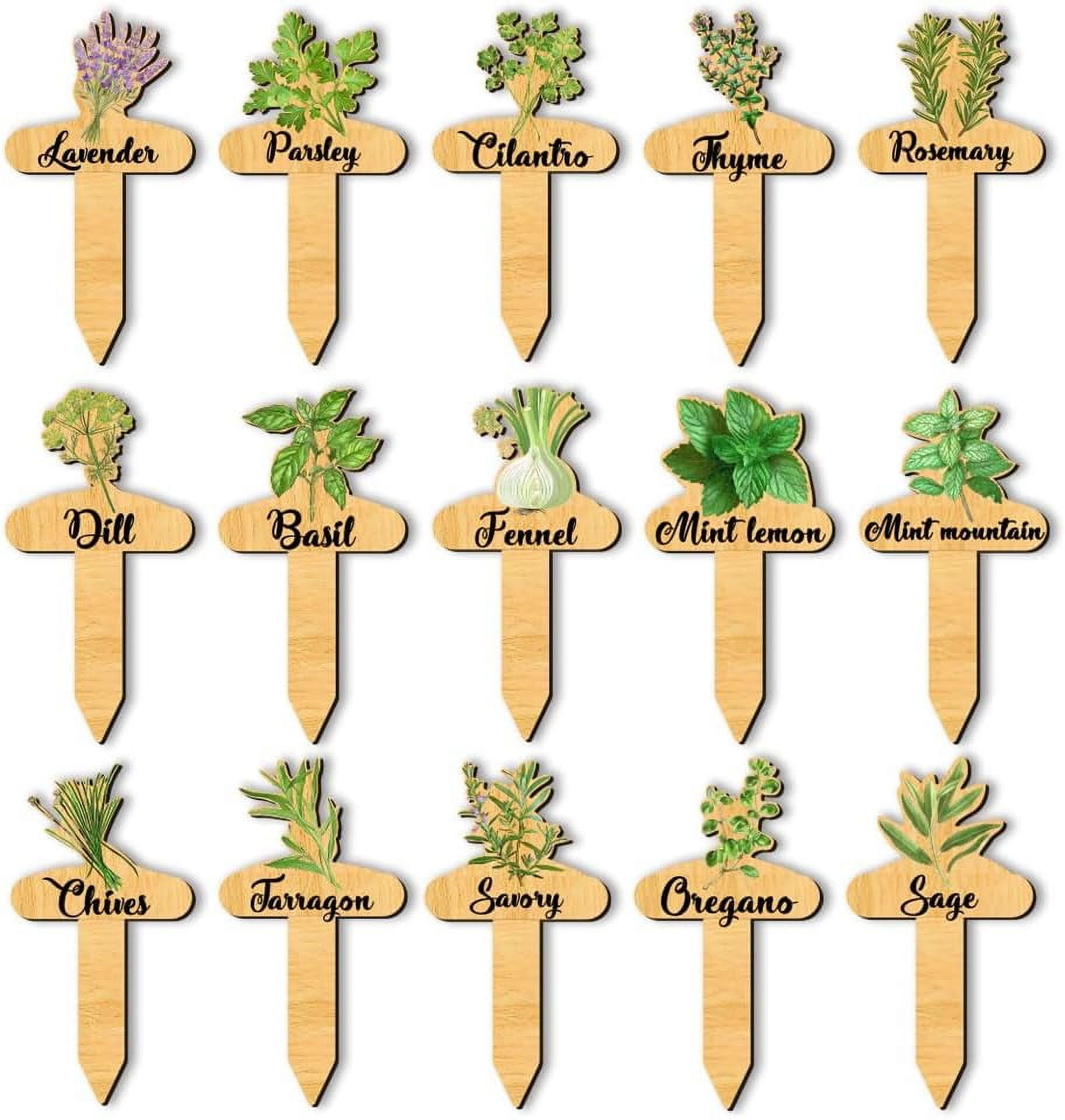 15 Pcs Plant Labels Name Tags Fennel Sage Dill Basil Wooden Plant ...