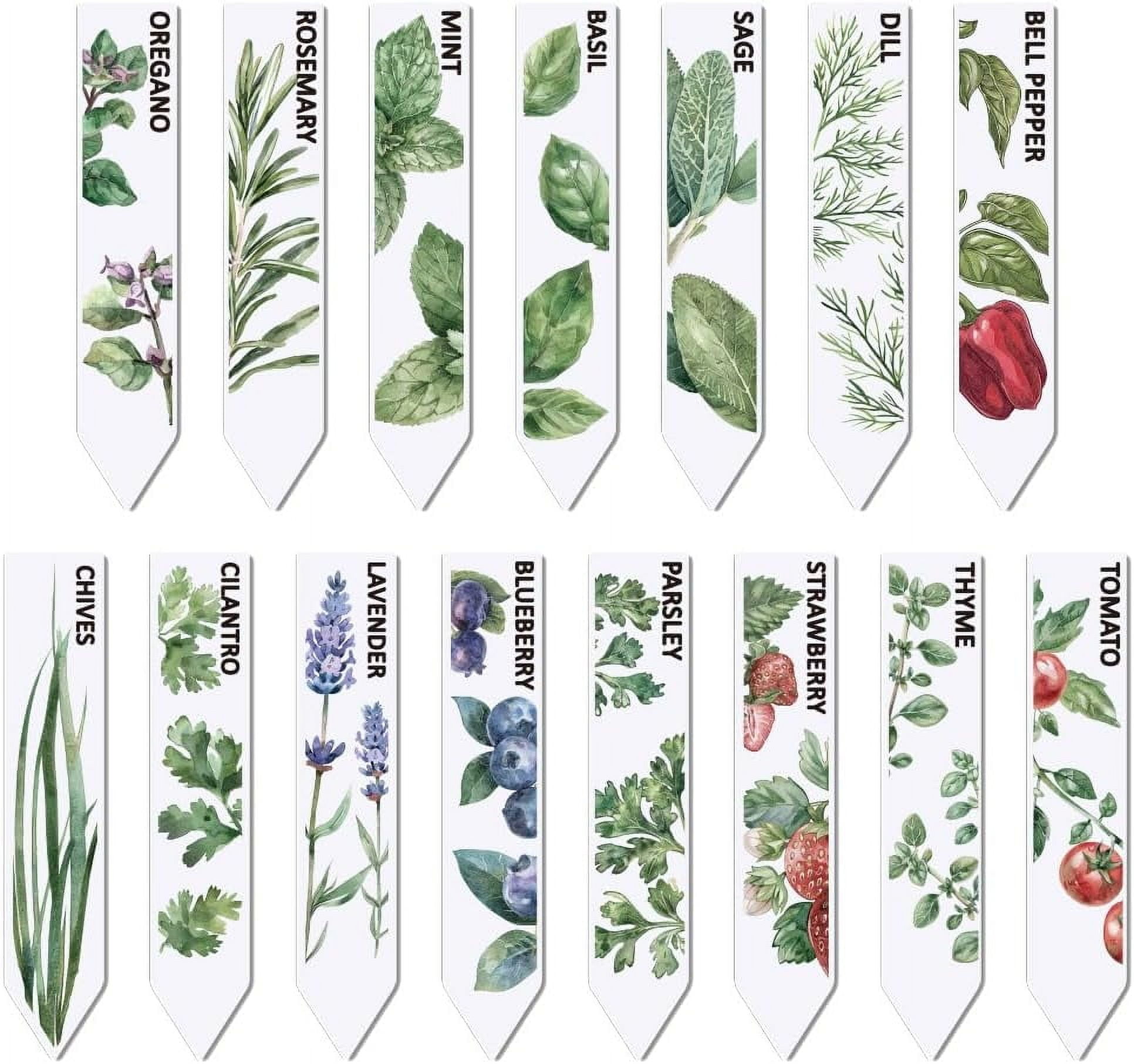 15 Pcs Vegetable Fruit herb Plant Labels Aesthetic Patterned Acrylic ...