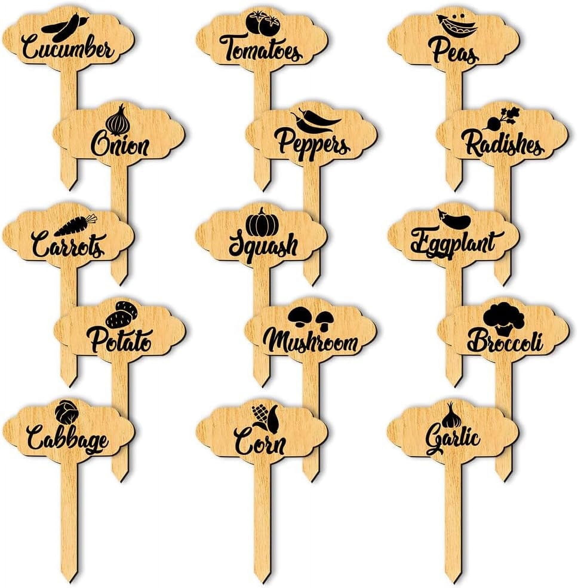 15 Pcs Vegetable Theme Plant Name Tag Wood Plant Markers Potato Onion ...