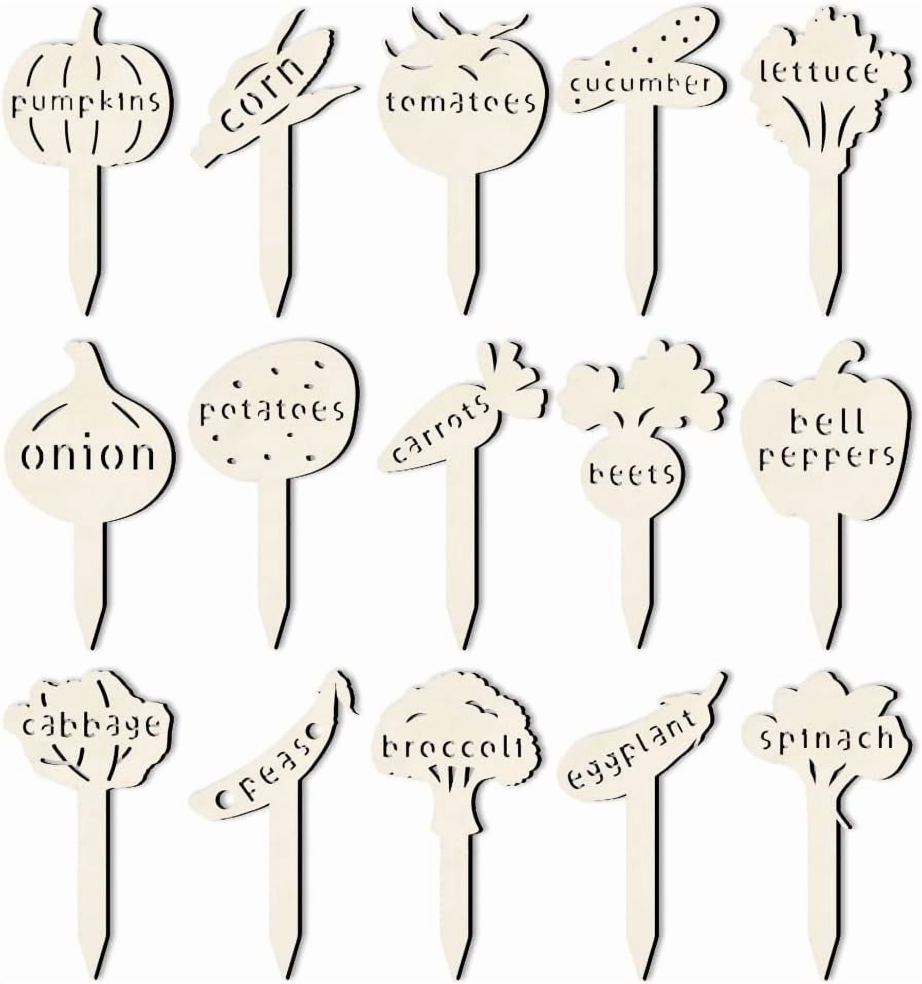 15 Pcs Wood Hollow Plant Labels 15 Styles Vegetables Shape Theme Garden ...
