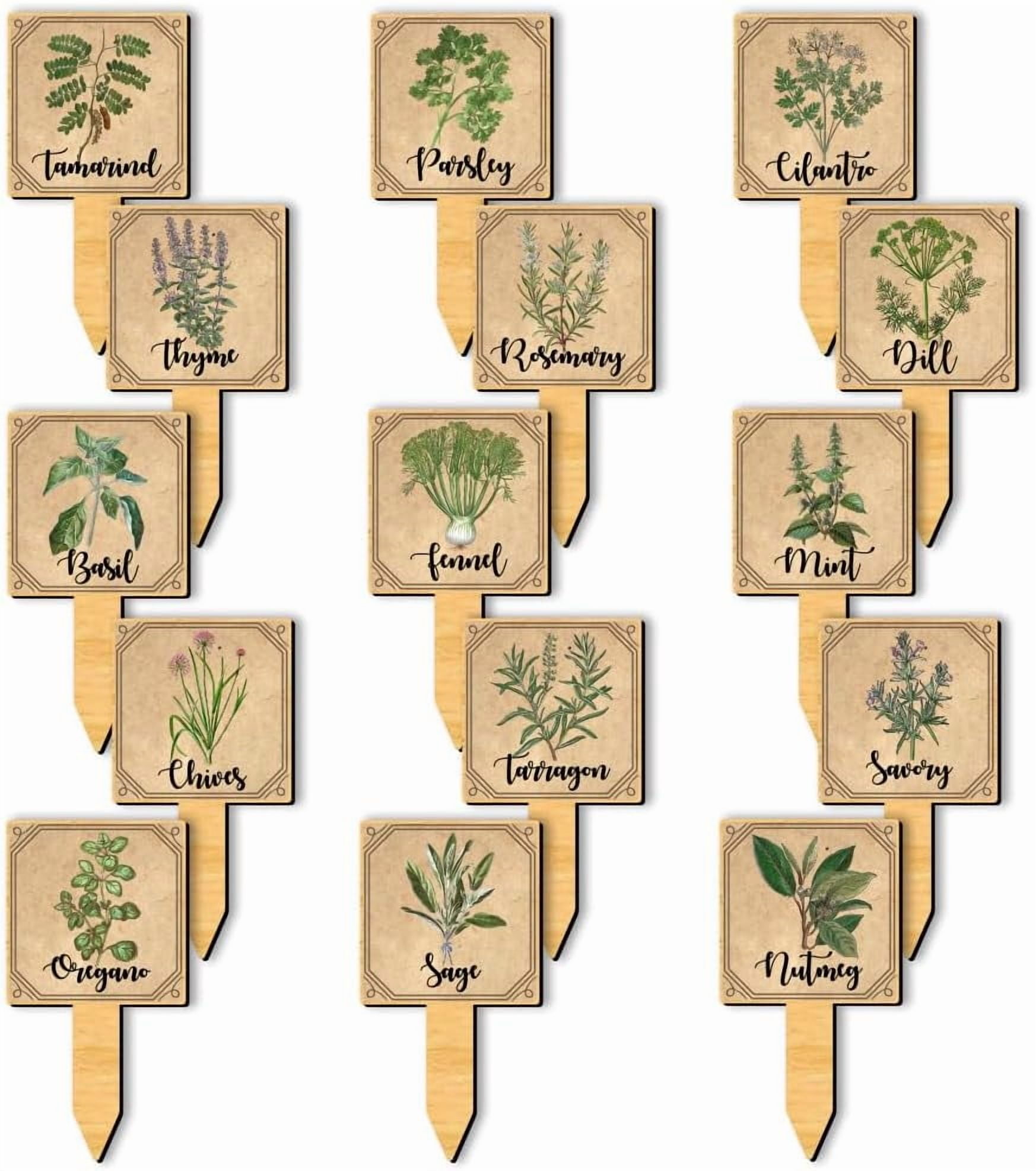 15 Pcs Wood Plant Labels 15 Styles Vintage Labels Wooden Herb Garden ...