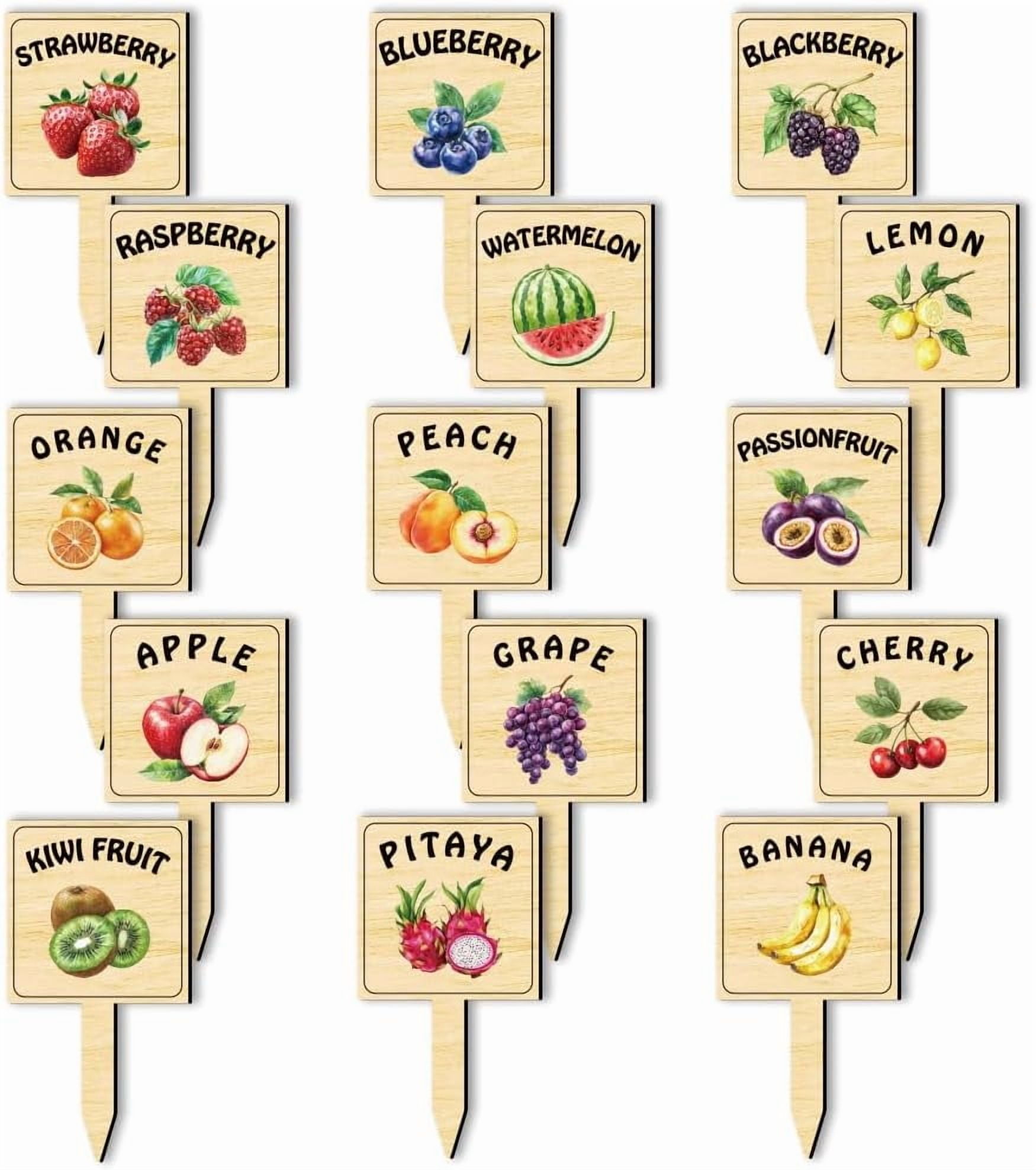 15 Pcs Wooden Plant Labels Fruit Themed Waterproof Garden Stake Labels ...