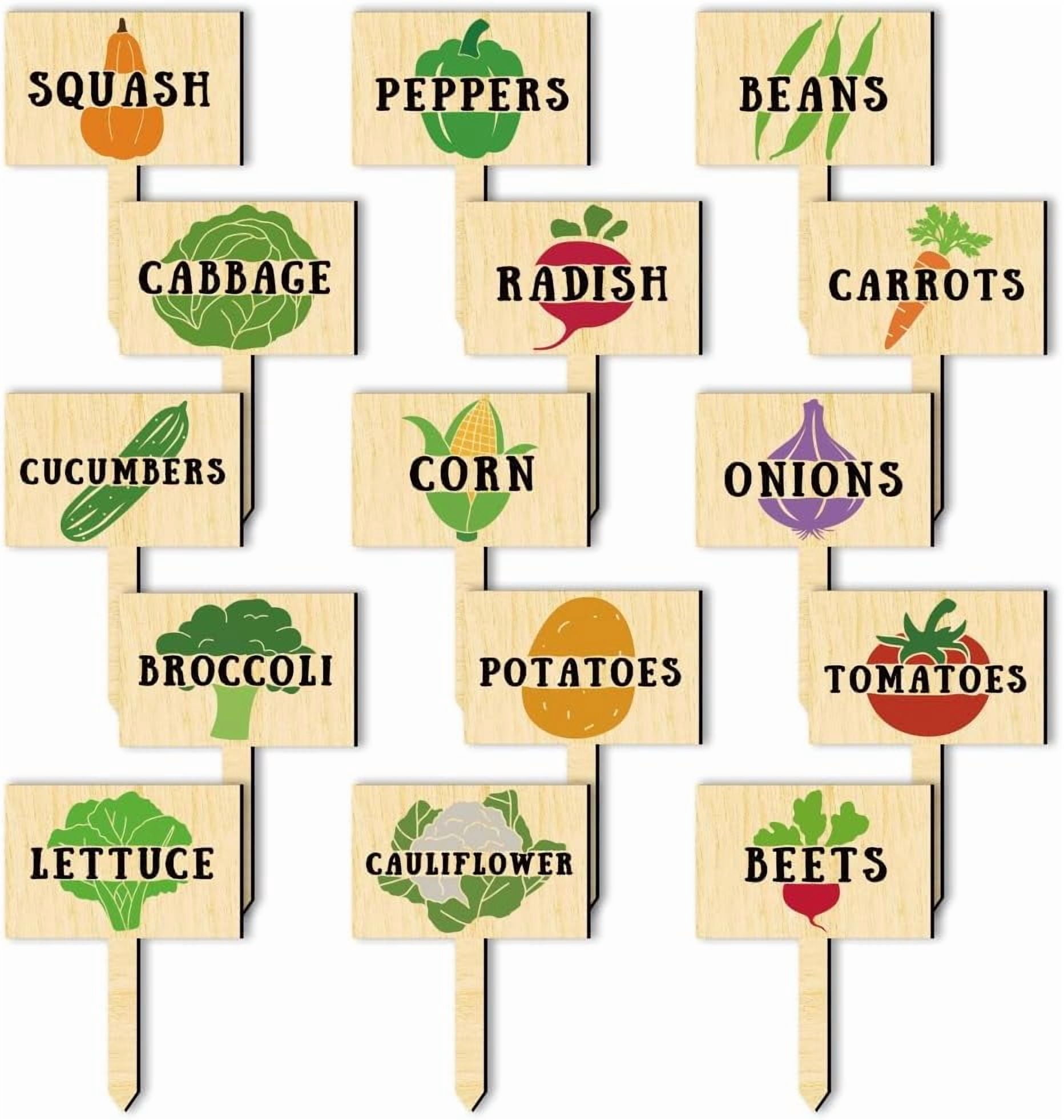 15 Pcs Wooden Plant Labels Vegetable Themed Plant Labels T-Shaped Plant ...