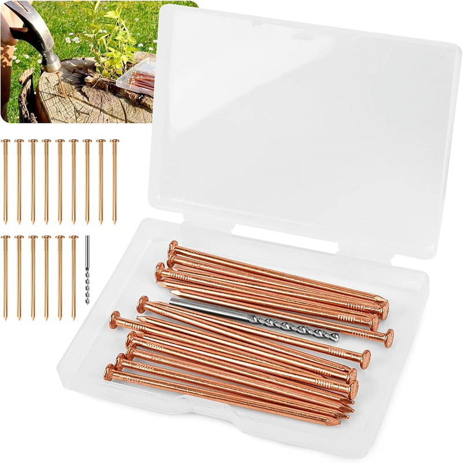 15 Pieces Copper Nails for Killing Tree Stump , 3.15 Inch Copper Nails ...