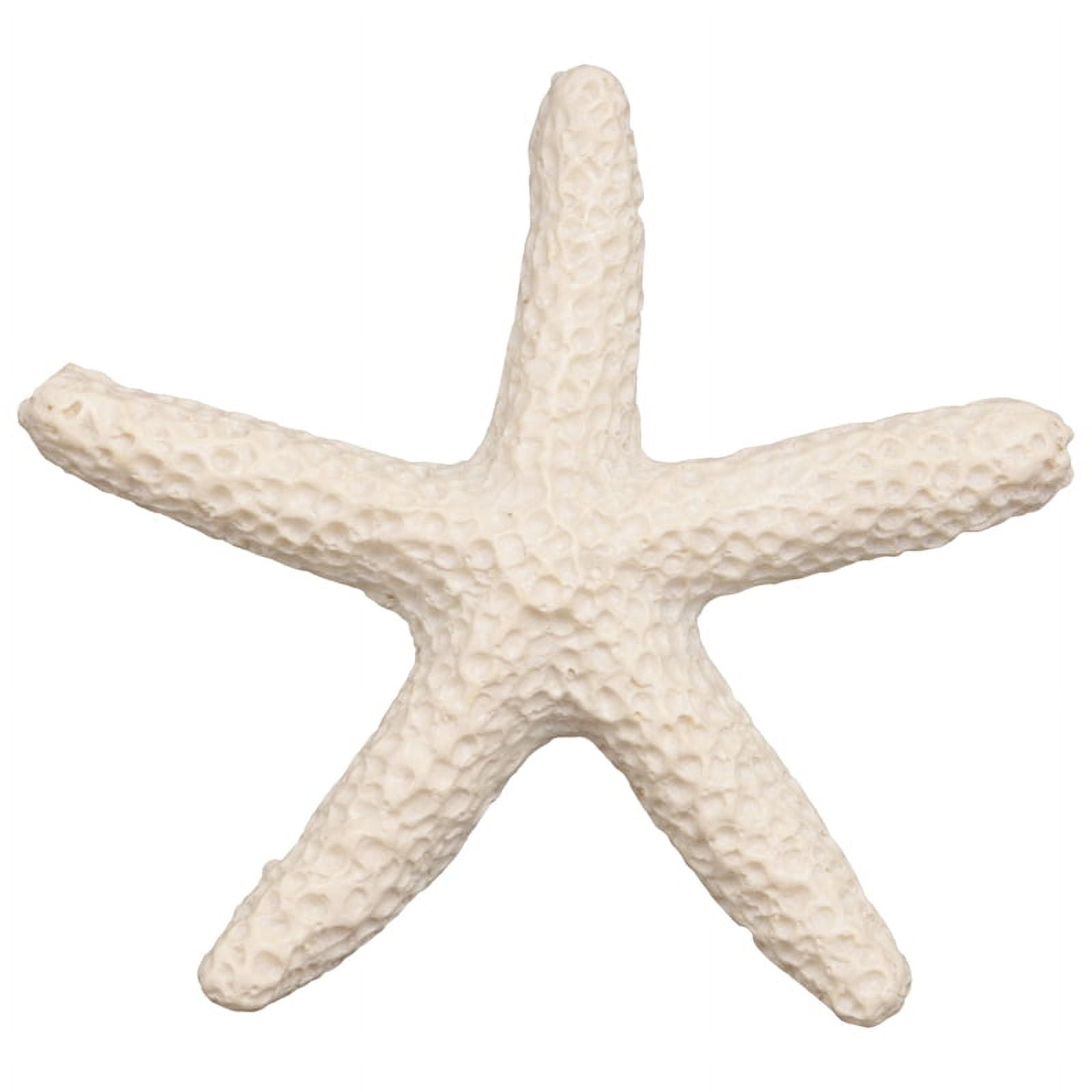 15 Pieces creamy-white Pencil Finger Starfish For Wedding Decor, Home ...