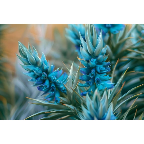15 Sapphire Tower Seeds for Planting - Puya - Walmart.com