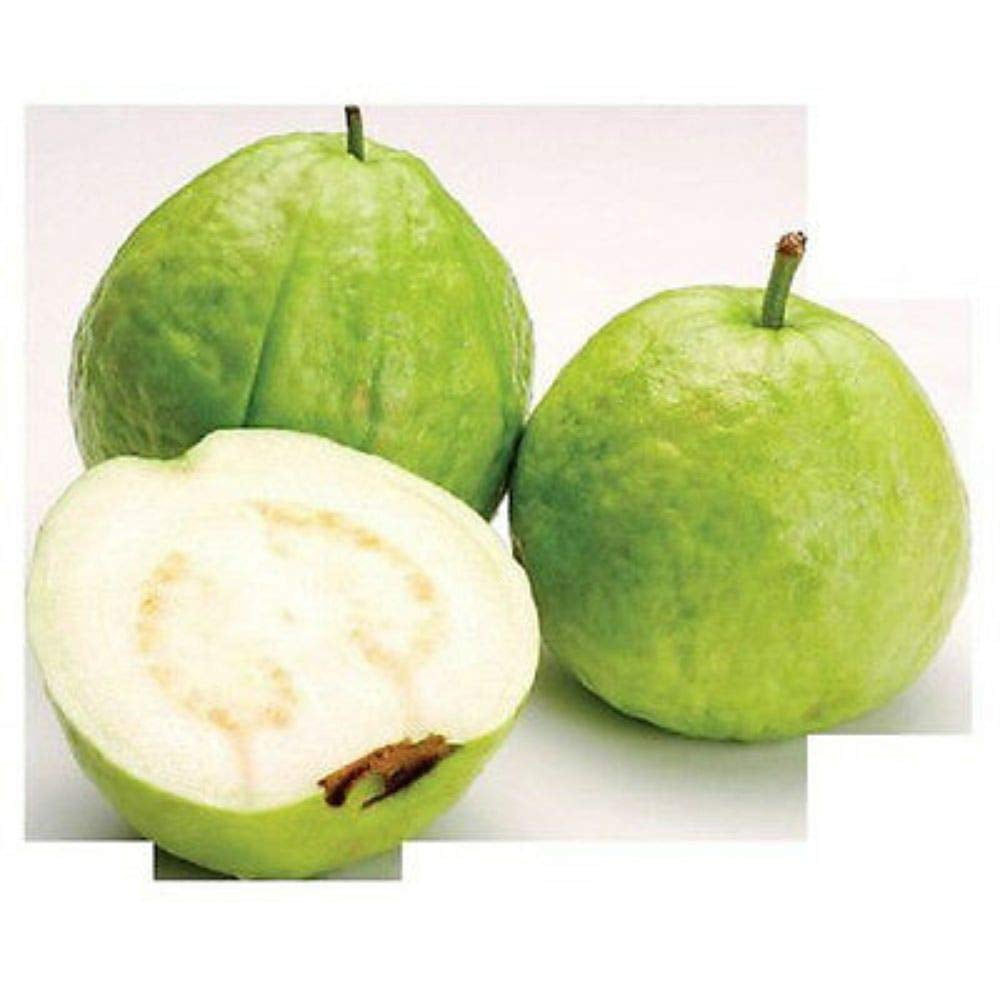 15 Seeds Guava White Tropical Fruit Psidium Guajava Tree Edible Guayaba ...