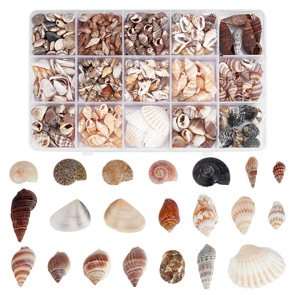 15 Style Spiral Shell Beads Undrilled/No Hole Beads Mixed Color 5~22x3 ...