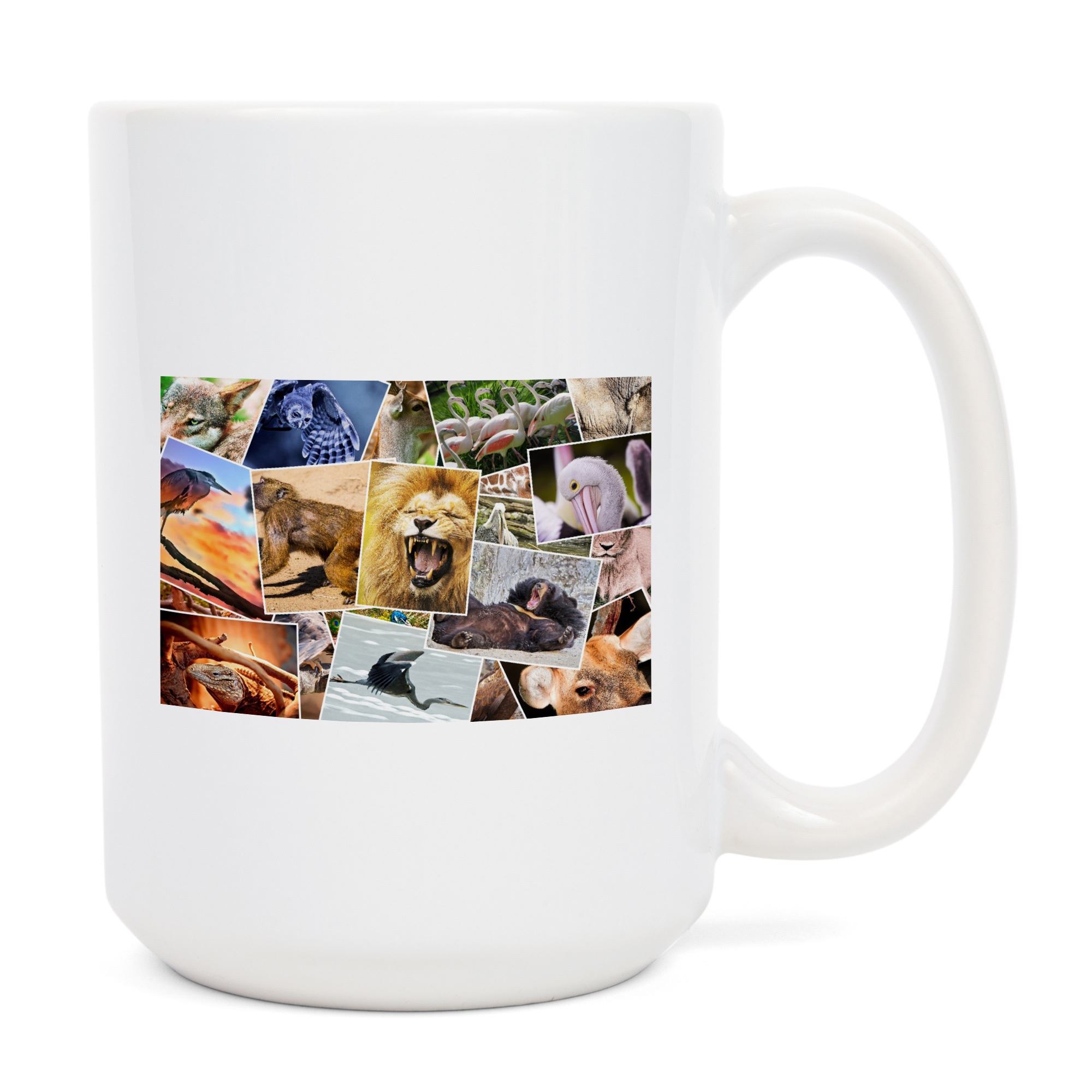 15 fl oz Ceramic Mug, Collage of Wild Animals in White Framed Photos ...