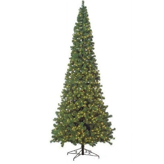 Cypress Christmas Tree