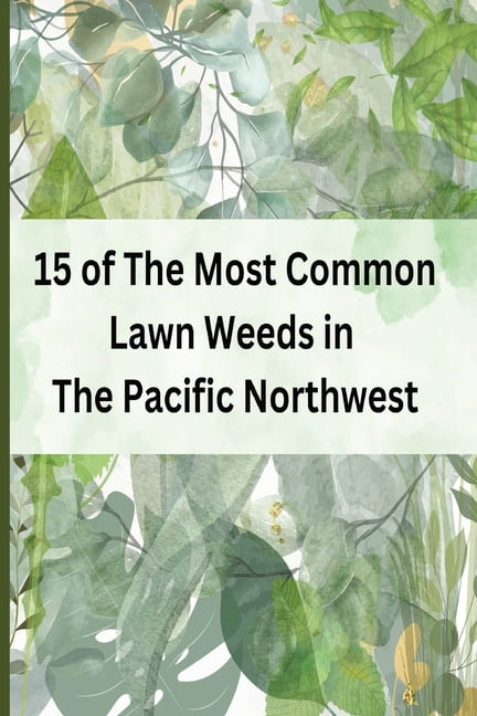 15 of The Most Common Lawn Weeds in The Pacific Northwest - Walmart.com