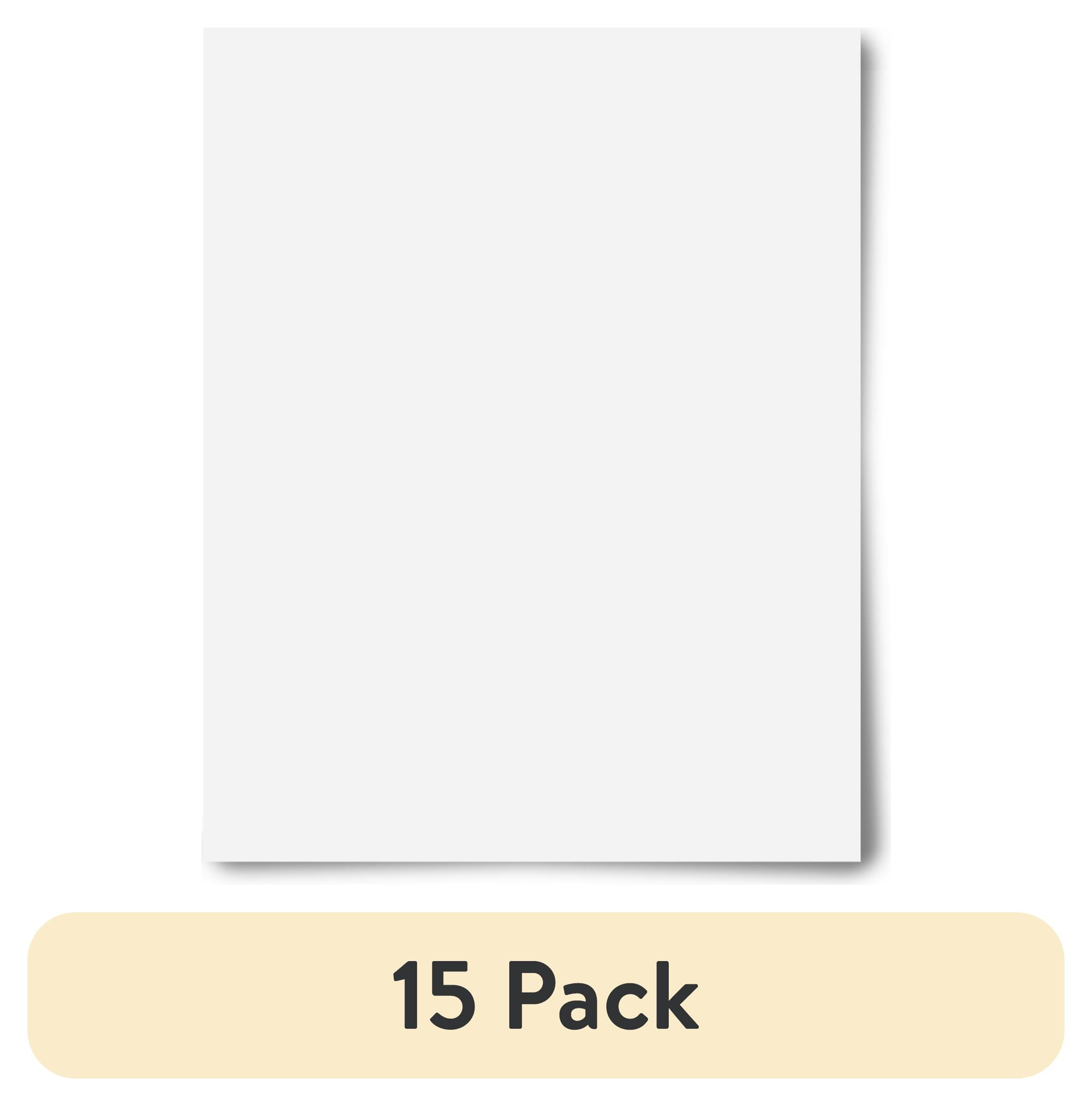 (15 pack) Pen + Gear Economy White Poster Board, 22"x28", 1 Count ...