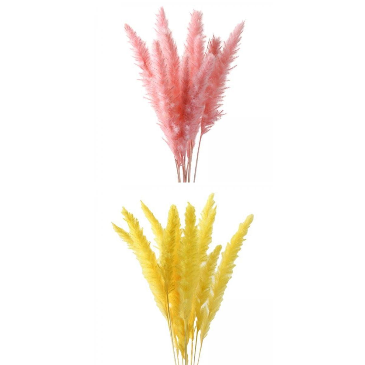 15 pcs Of Dried Pampas Grass Reed Pink Bohemian Decoration + 15 pcs Of ...