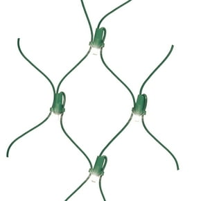 Twinkling Christmas Lights