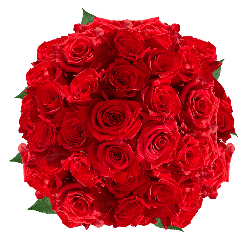 150 Long Stem Assorted Red Roses- Beautiful Fresh Cut Flowers- Express ...