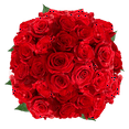 150 Long Stem Assorted Red Roses- Beautiful Fresh Cut Flowers- Express ...