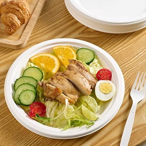 150 Pack Paper Plates 9 inch 100% Compostable, Heavy-Duty Disposable ...