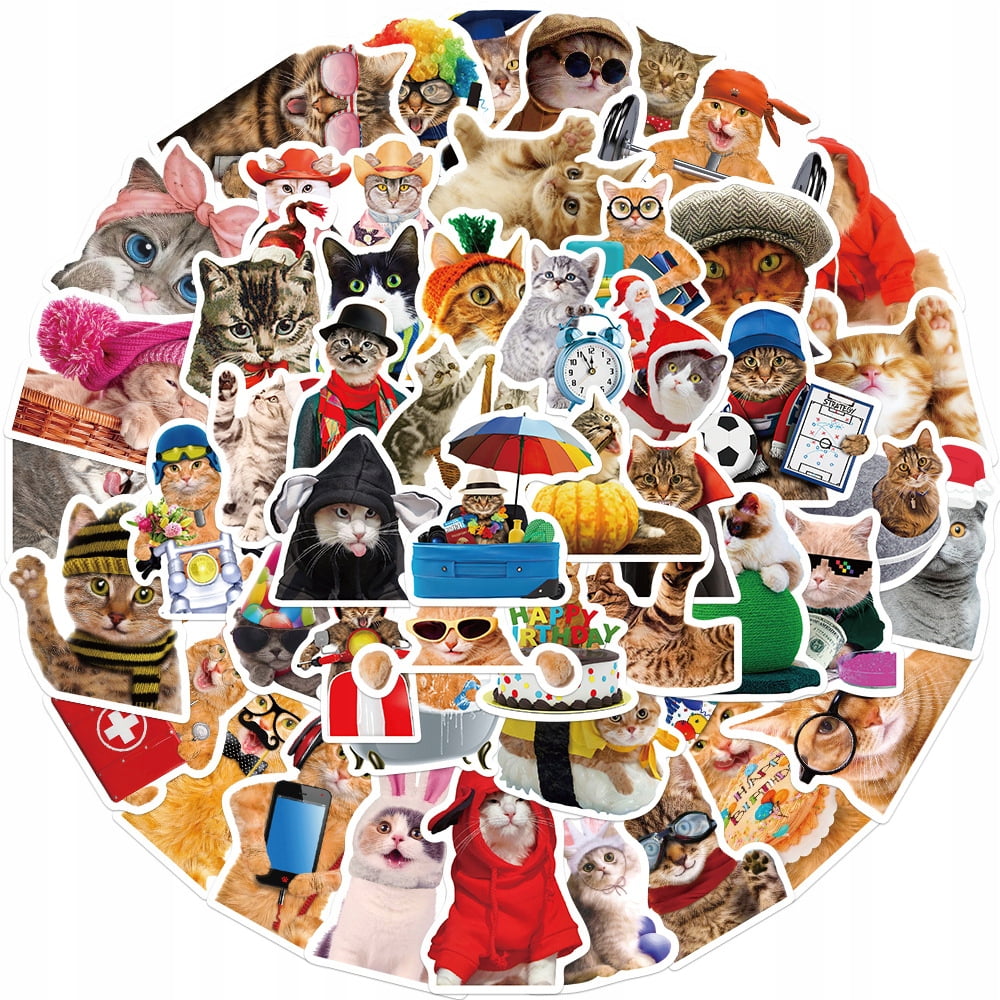 150 Pcs Stickers Funny Kitty Animal Meme For Colorful And Waterproof ...
