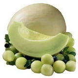 150 Seeds HONEYDEW GREEN FLESH Cucumis Melo Inodorus Melon Fruit Seeds ...