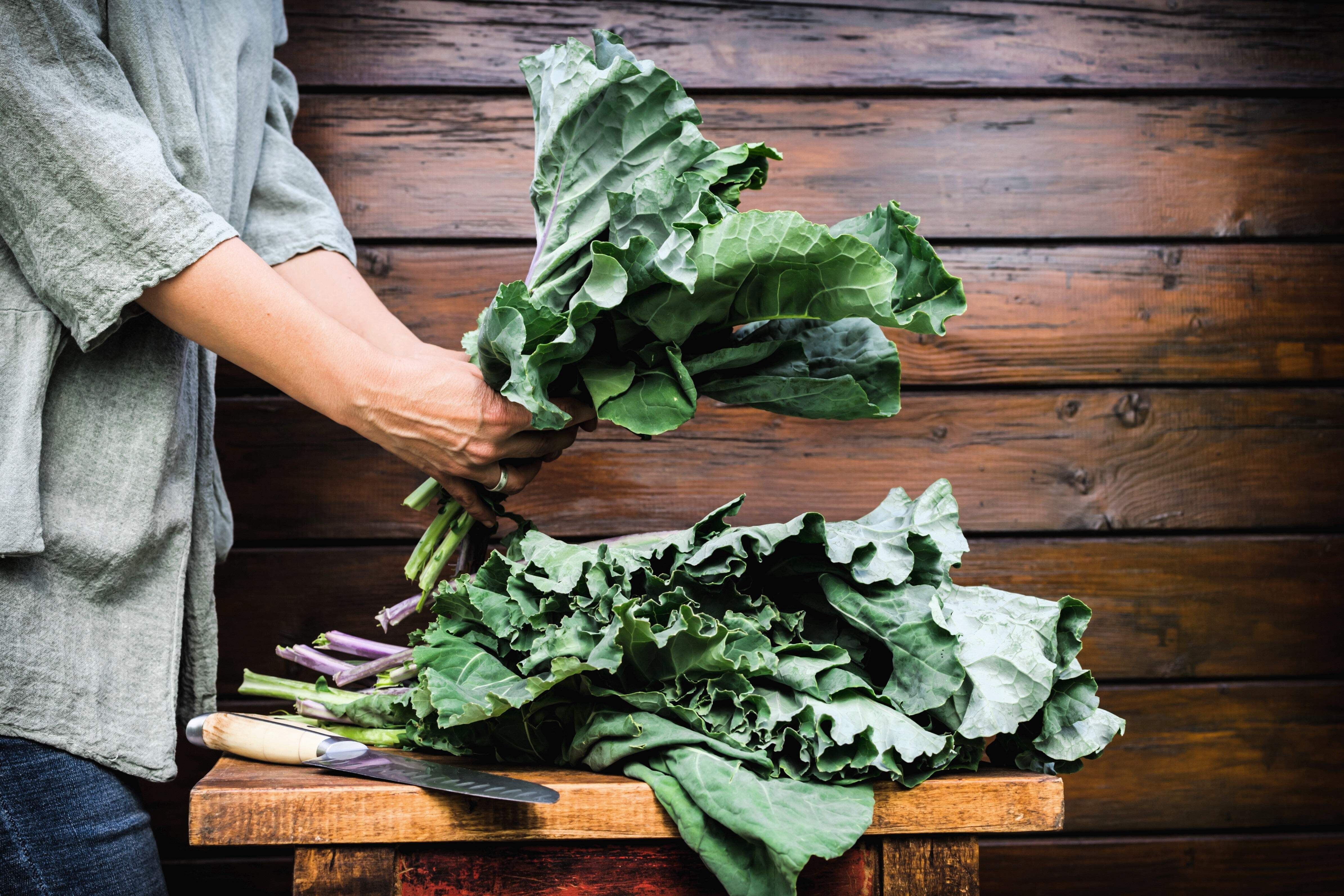 1500 Seeds MORRIS HEADING COLLARDS Collard Green Brassica Oleracea ...