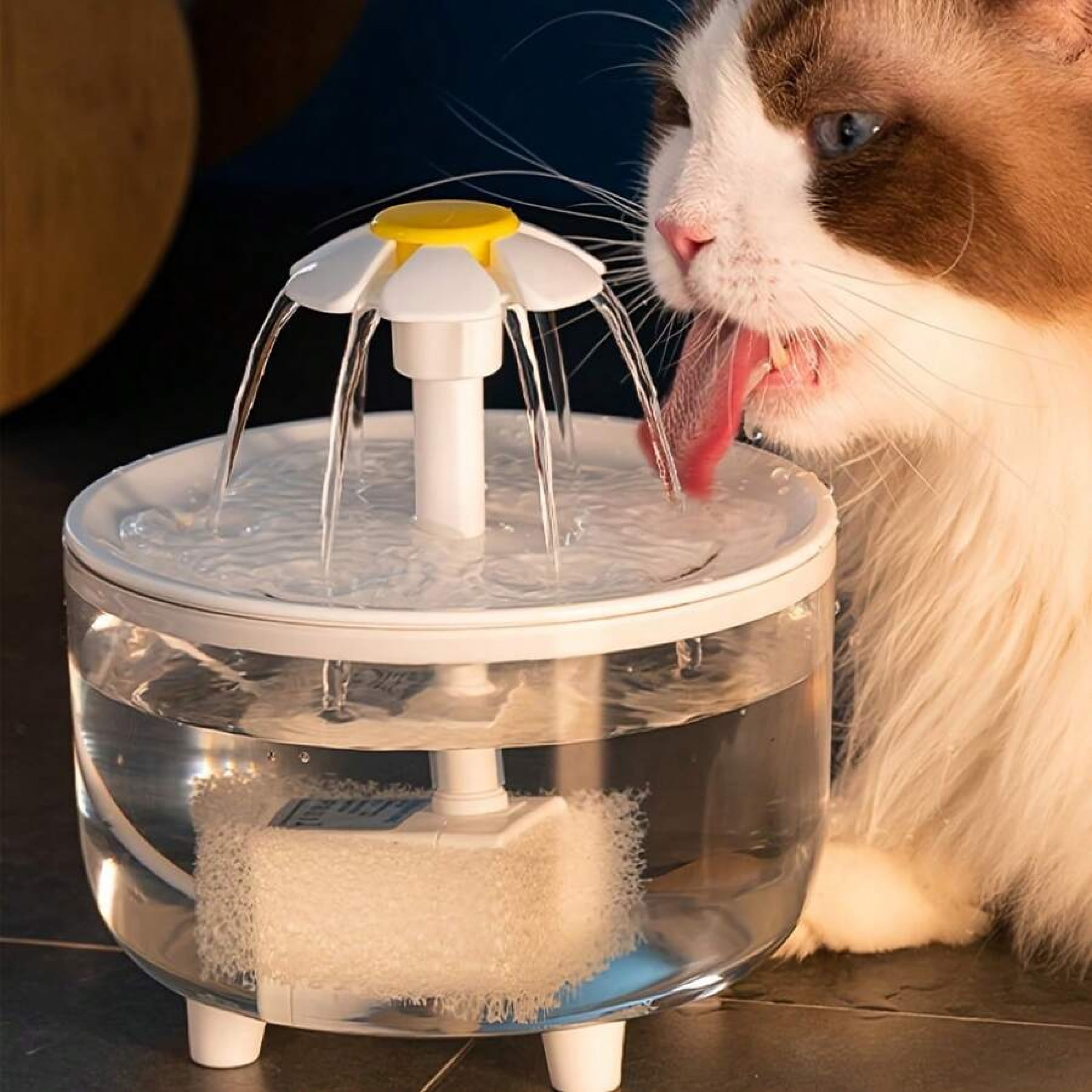 1500ml USB-Powered Automatic Circulation Pet Water Dispenser - With ...