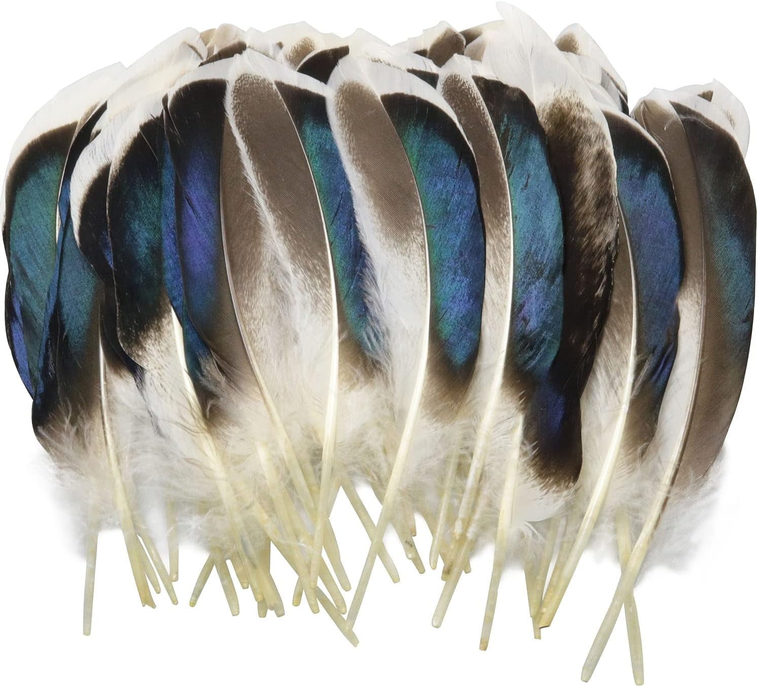 150PCS Duck Feathers, Natural Feathers for DIY Craft Art, Decor ...