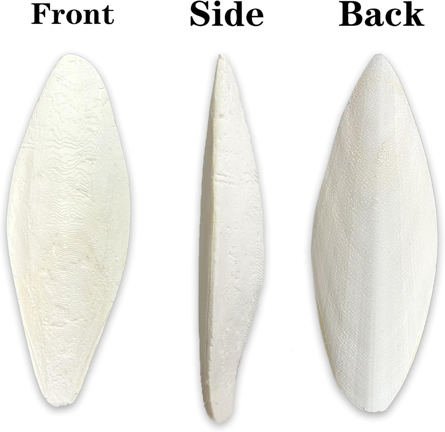 15PCS Bird Cuttlebone for Parakeets Cuttlebone for Birds,(Each 2-5cm ...