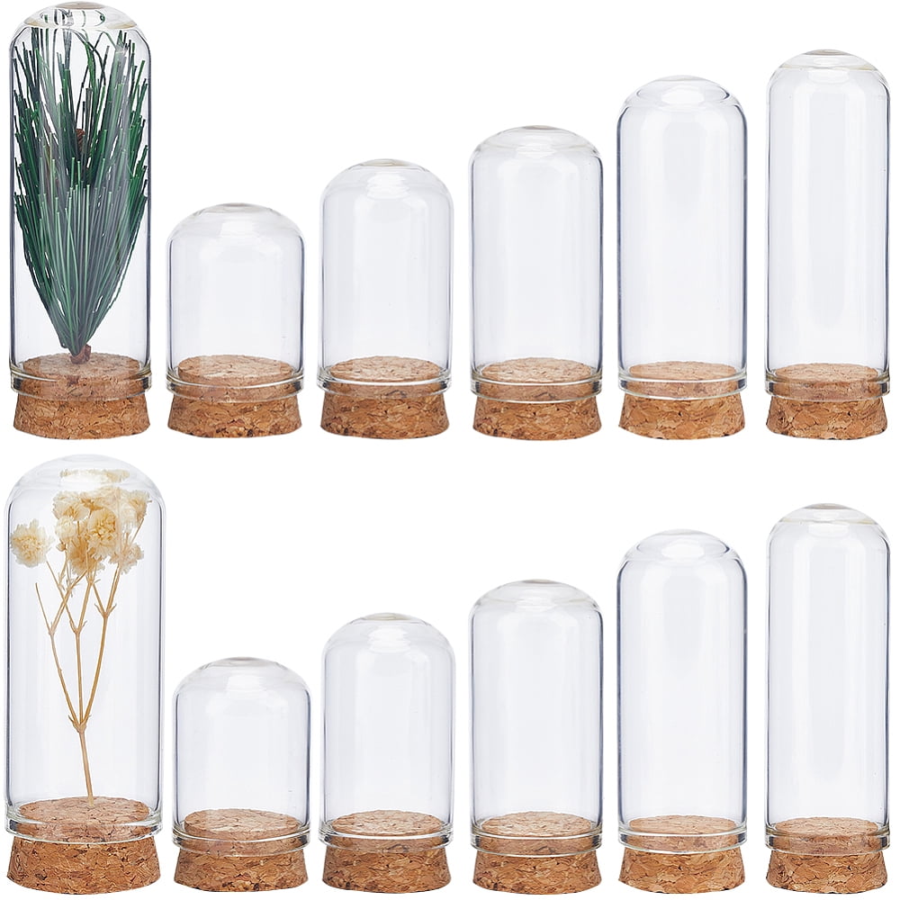 15Pcs 5 Size Glass Cloche Dome Mini Display Bell Jar with Cork Base ...