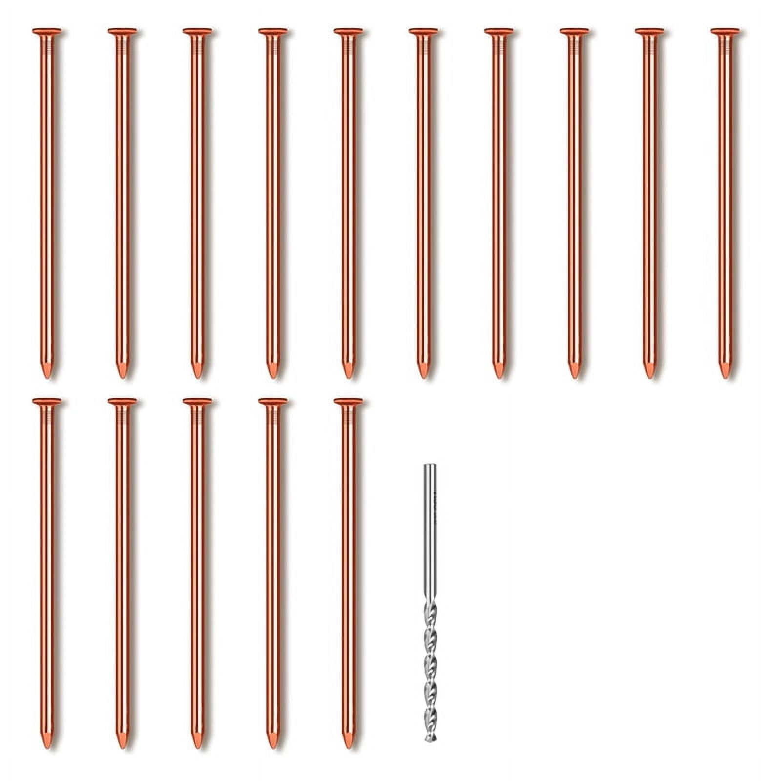 15Pcs Copper Nails for Killing Trees Stump Root, 3.14 Inch Long Pure ...