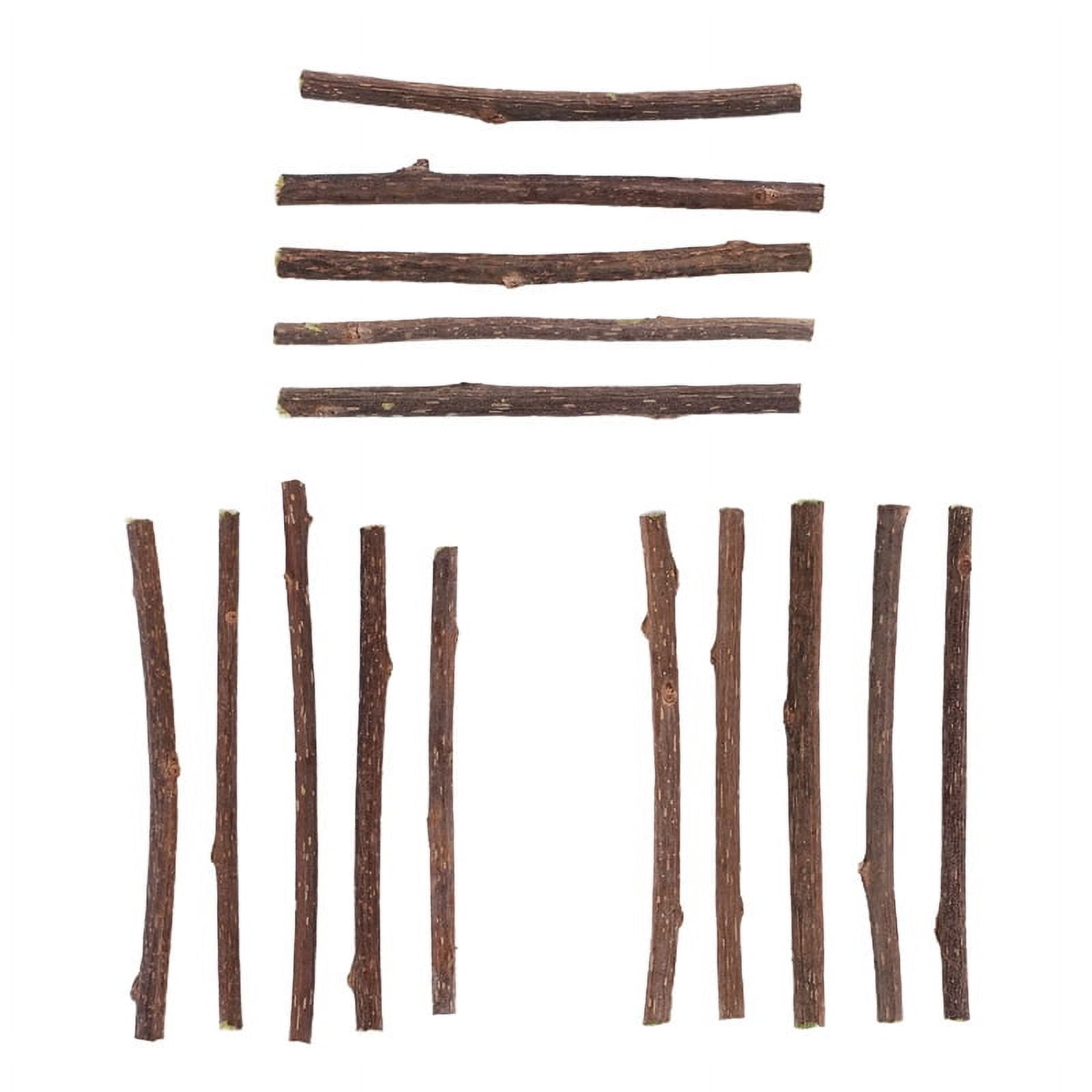 15Pcs Natural Silvervine Sticks for Matatabi Chew Sticks Teeth Molar ...