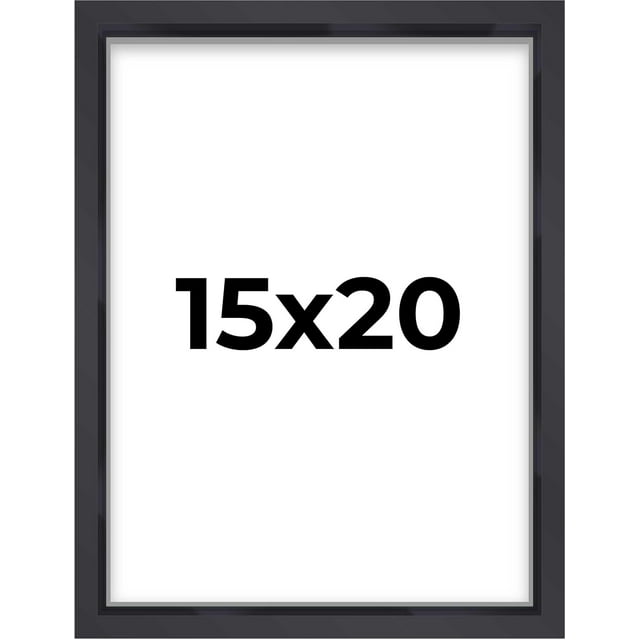 15X20 Box Frame Contemporary Black | 1" Depth Of ble Space| Interior ...