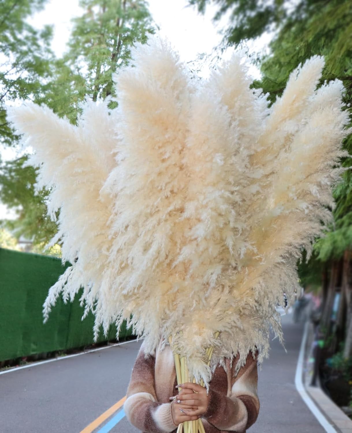 15pcs 40''Dried Pampas Grass Decor Tall-Large pompas Grass-Natural ...