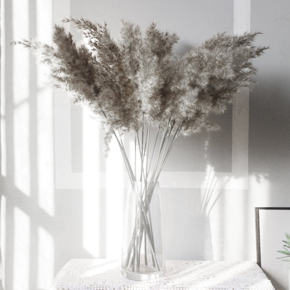 15pcs Pampas Grass Decor, 22” Dried Pompous Grass Pompass Branches for ...