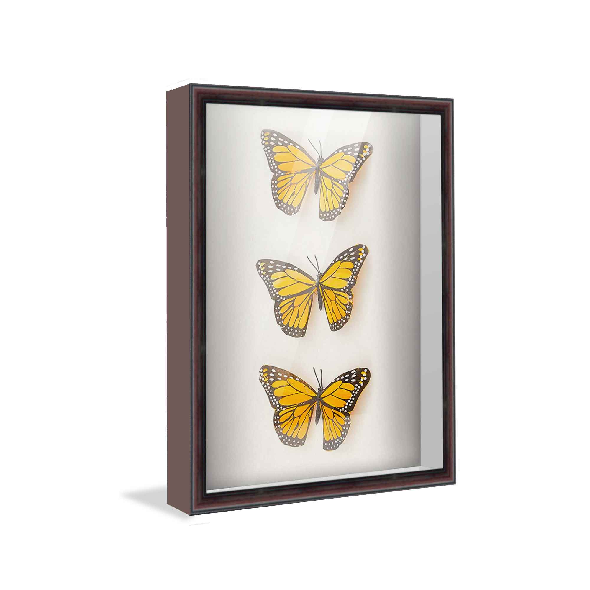 15x30 Shadow Box Frame Brown | 2.5 inches Deep Real Wood Traditional ...